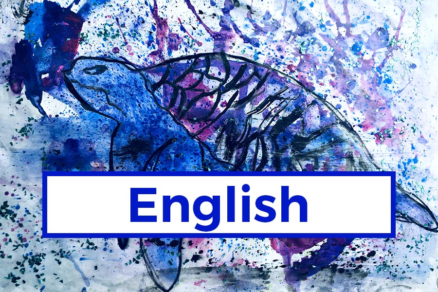 Captain Paul Watson Foundation UK Education - Teaching Materials